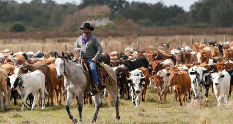 These Are the 15 States That are Known for Cowboys – Blue and Gold Nlr ...